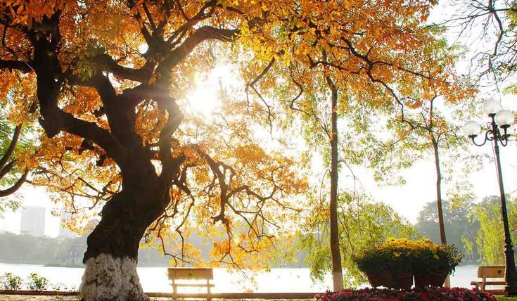 Lãng đãng chiều thu